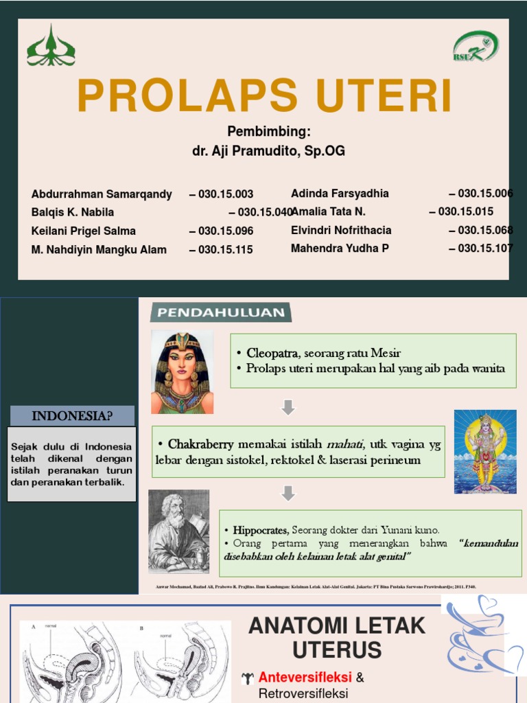 Prolaps Uteri 2 | PDF