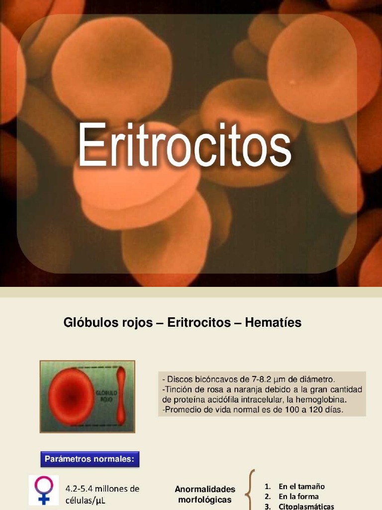 Alteraciones-De-Los-Elementos-Formes-Sanguineos 1 | PDF