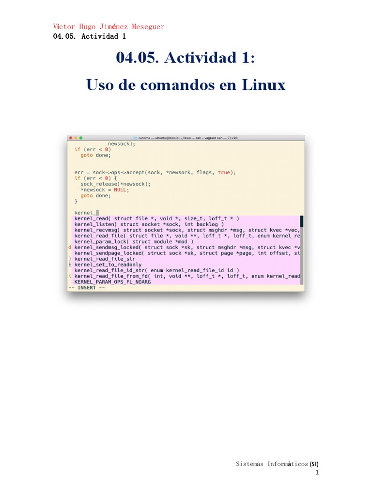 Uso de Comandos en Linux | PDF