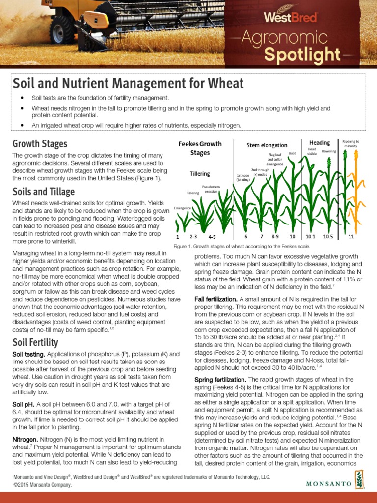 Soil and Nutrient Management For Wheat - WestBred | PDF | Wheat | Soil