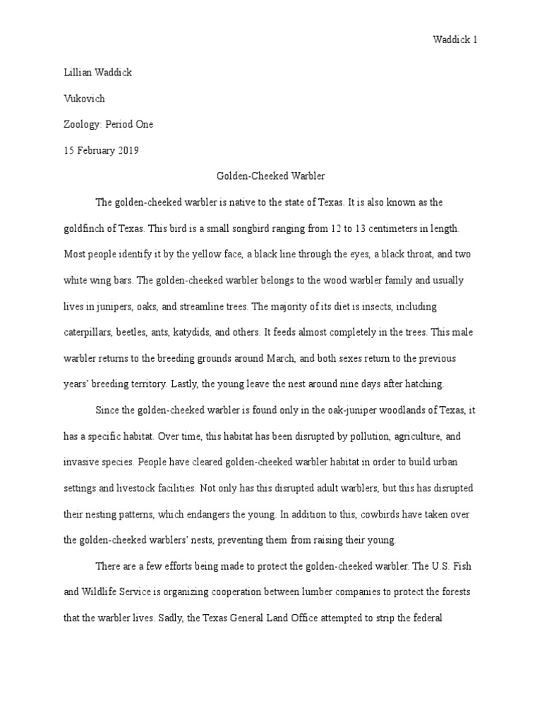 Golden-Cheeked Warbler Paper | PDF