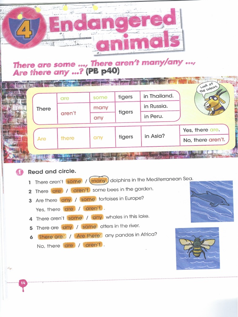 Unit 4 - Endangered Animals - Grammar Practise | PDF