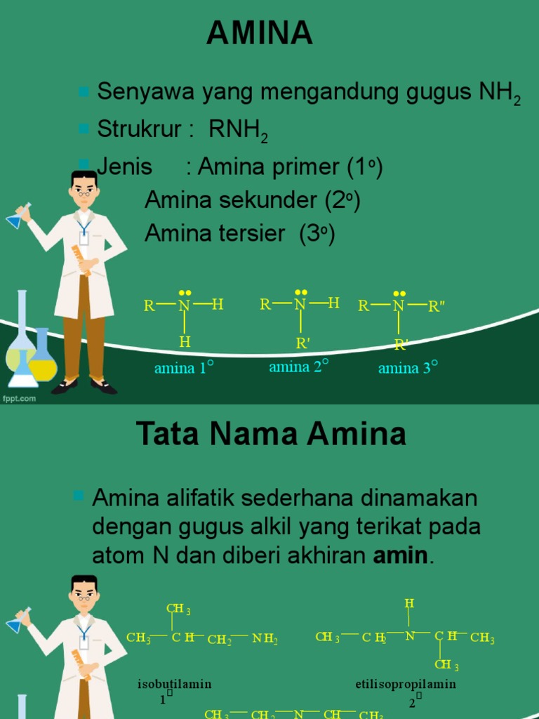Amina Dan Nitro | PDF