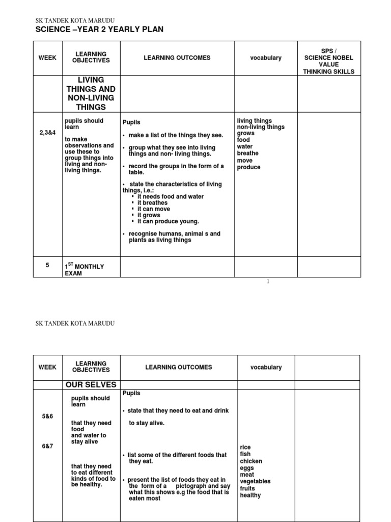 Year 2 Science Curriculum Plan | PDF | Foods | Plants