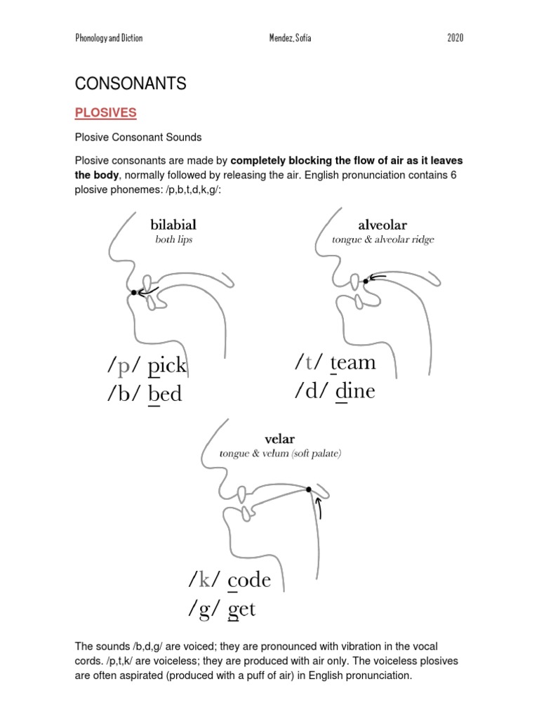 Ipa Explanation | PDF | Consonant | Oral Communication