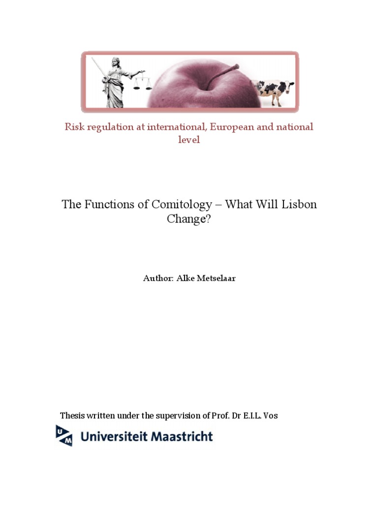 Comitology After Lisbon | PDF | European Commission | European Union