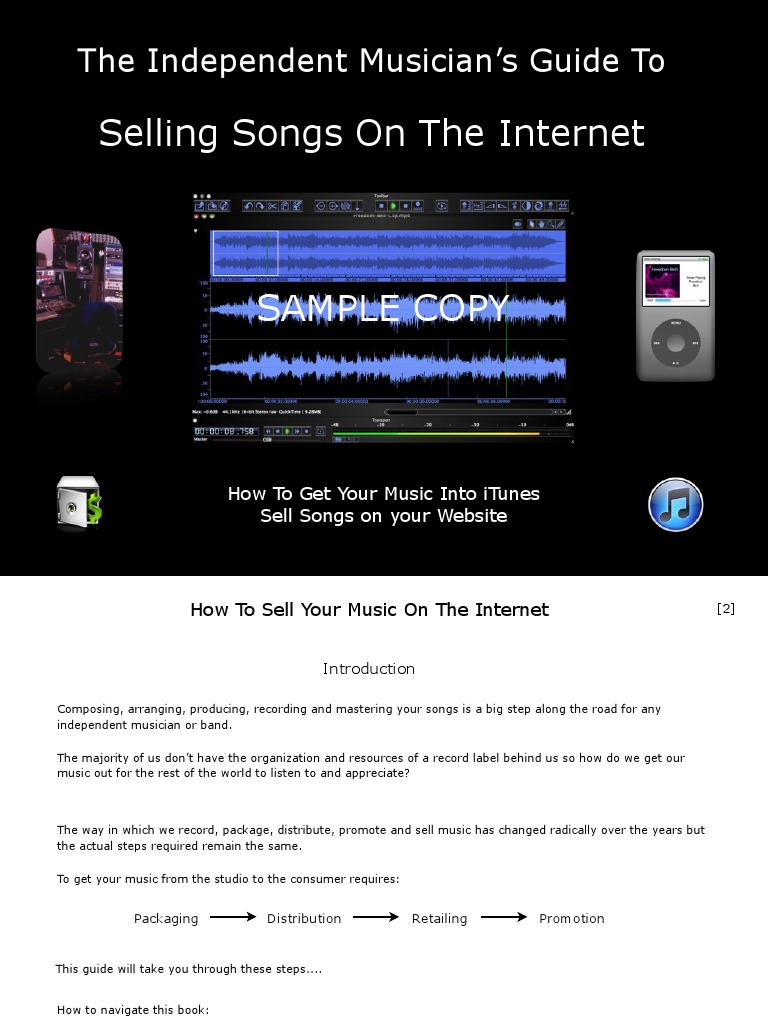 Selling Songs On The Internet: The Independent Musician's Guide To ...