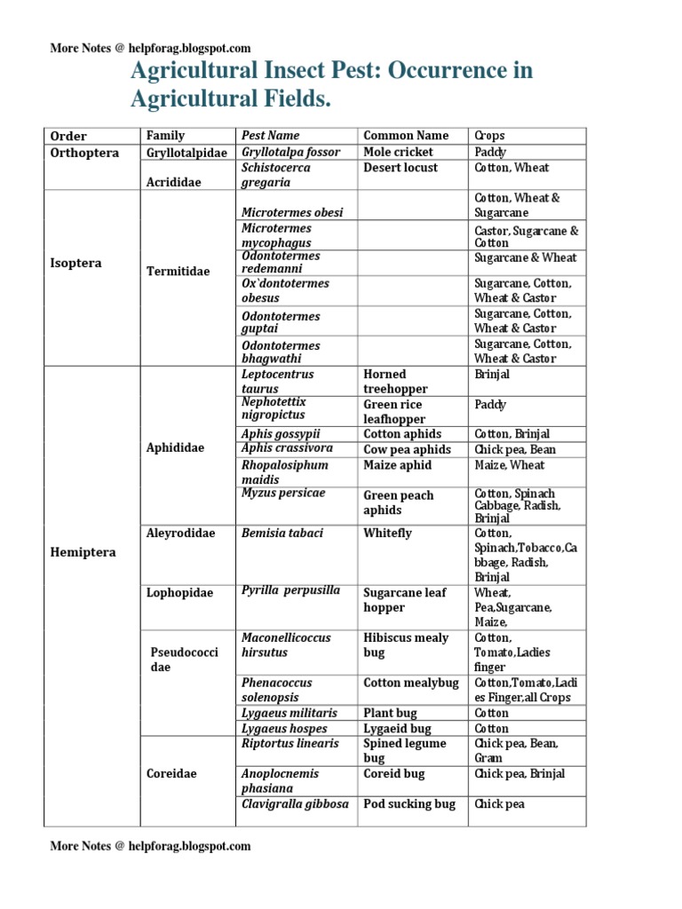Agricultural Insect Pest | PDF | Hexapoda | Insects And Humans