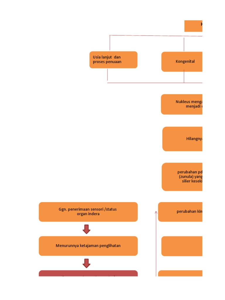 Mind Mapping Katarak | PDF