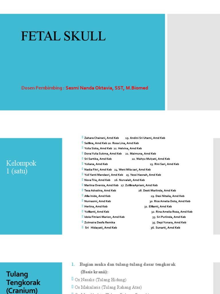 Fetal Skull PP | PDF