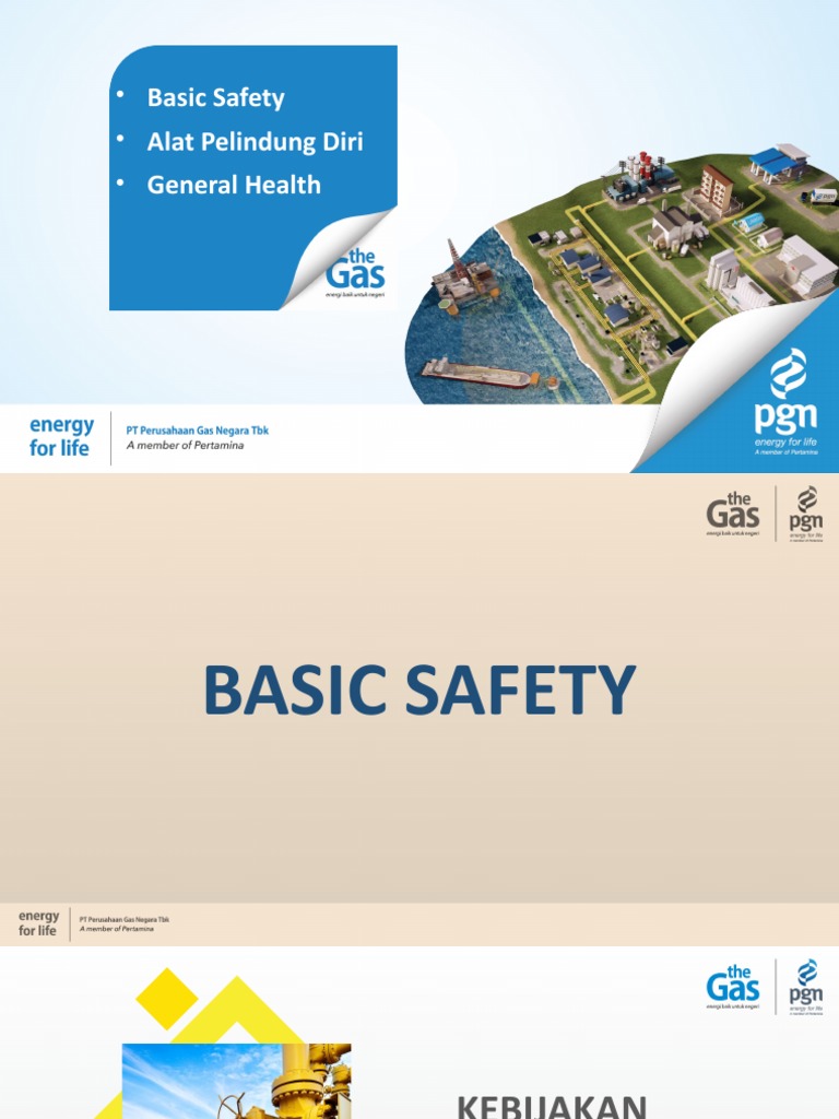 Basic, APD & Health | PDF