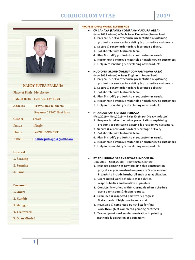 Cv-Handy Putra Pradana | PDF