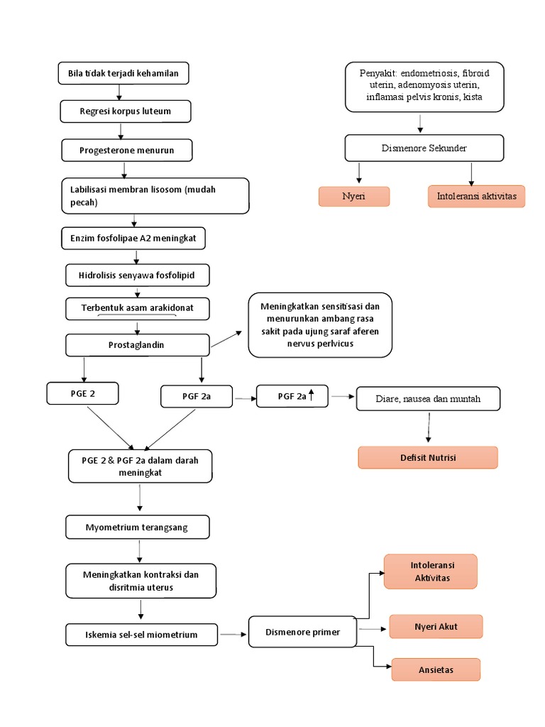 Patofisiologi Dismenore | PDF