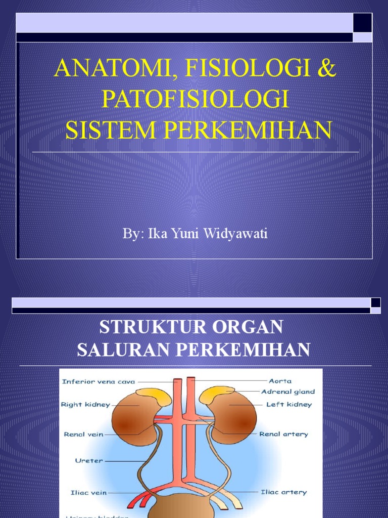 Anatomi Fisiologi Sistem Perkemihan | PDF | Kidney | Genitourinary System