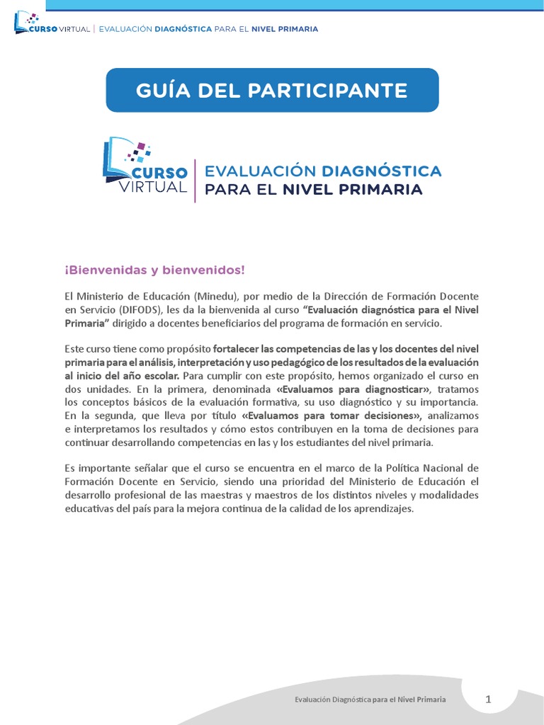2 - Guia - Del - Participante Curso Evaluación Diagnostica para El Nivel Primaria - Curso ...
