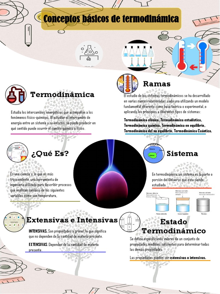 Infografía Conceptos Básicos de Termodinámica | PDF