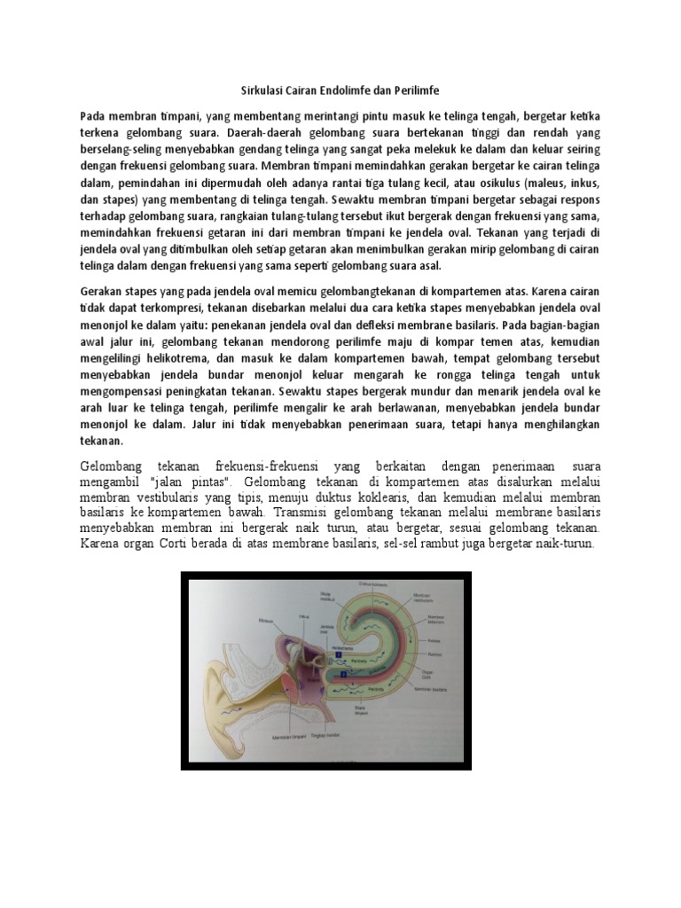 Cairan Endolimfe Dan Perilimfe | PDF | Sains & Matematika