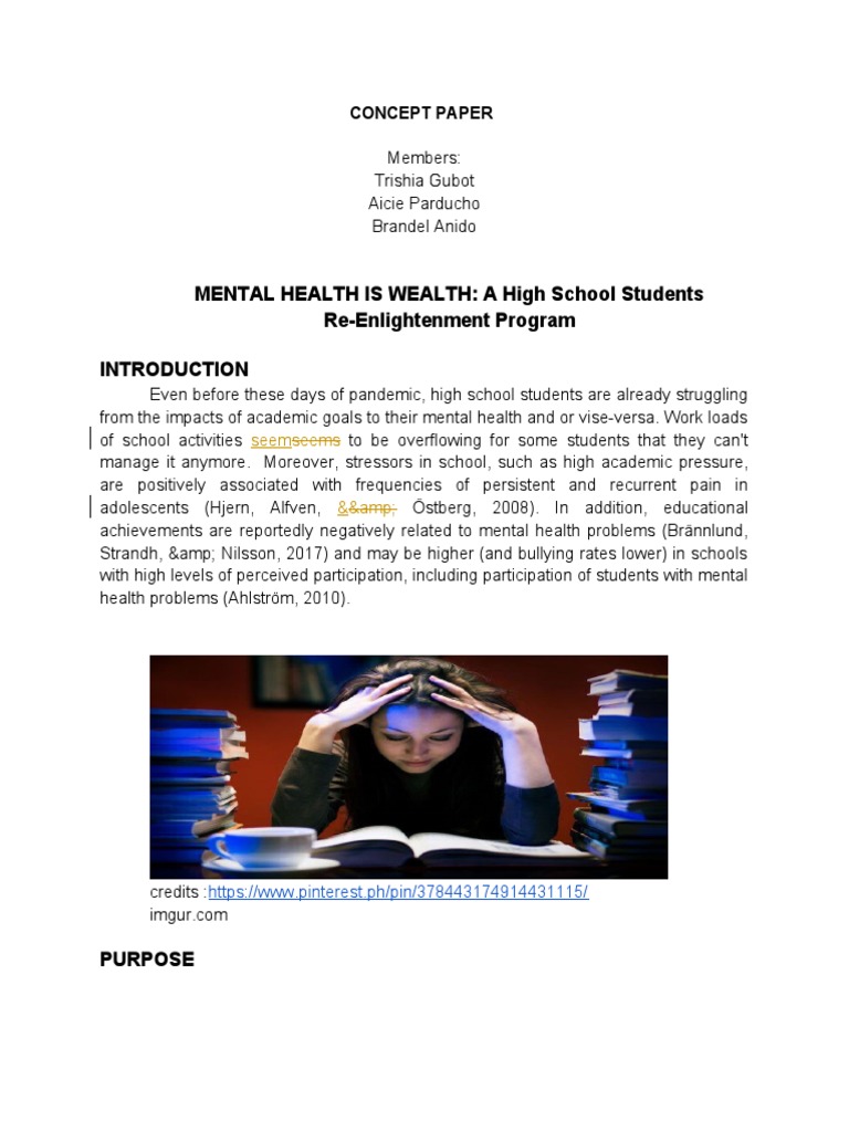 CONCEPT PAPER Example (Basic Example and Format) | PDF | Mental Health ...