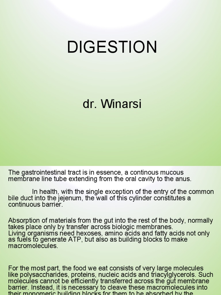 Digestion Slide | PDF | Digestion | Human Digestive System