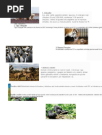 Filma24.PL Filma Dhe Seriale Me Titra Shqip HD | PDF