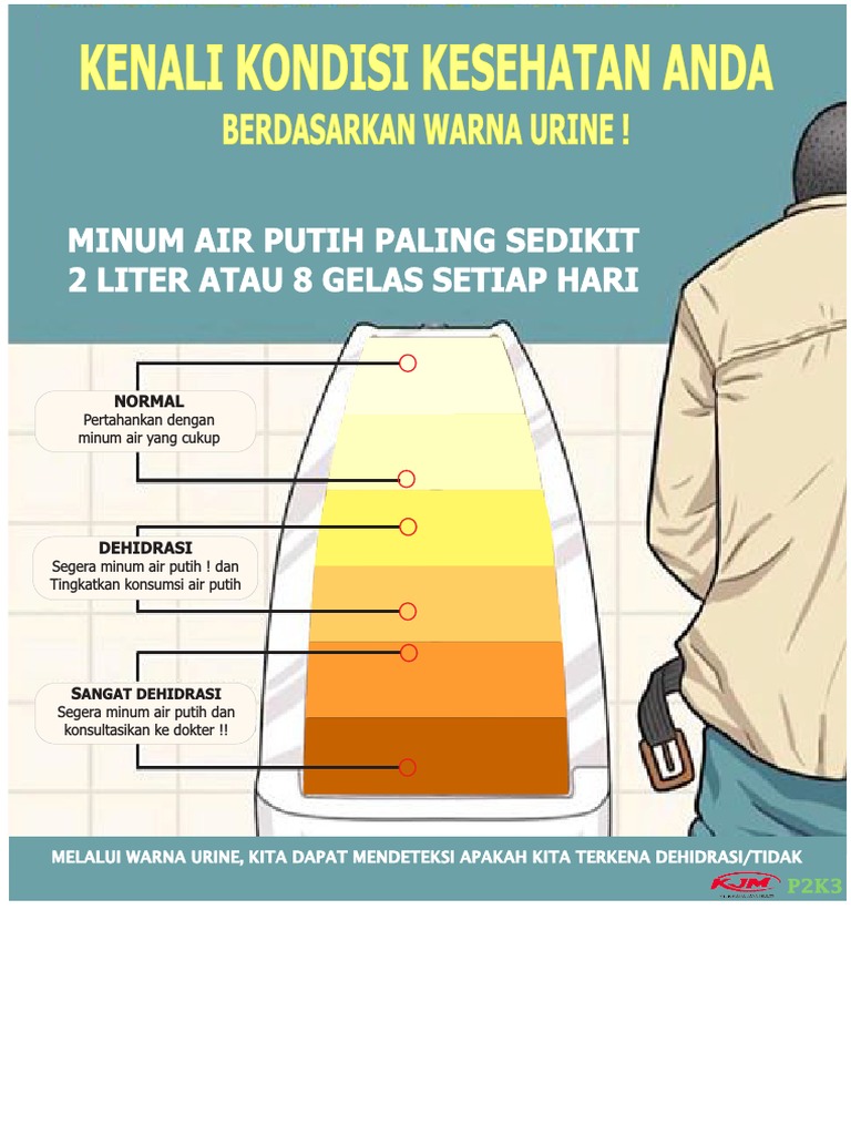 Kesehatan Berdasarkan Warna Urine | PDF