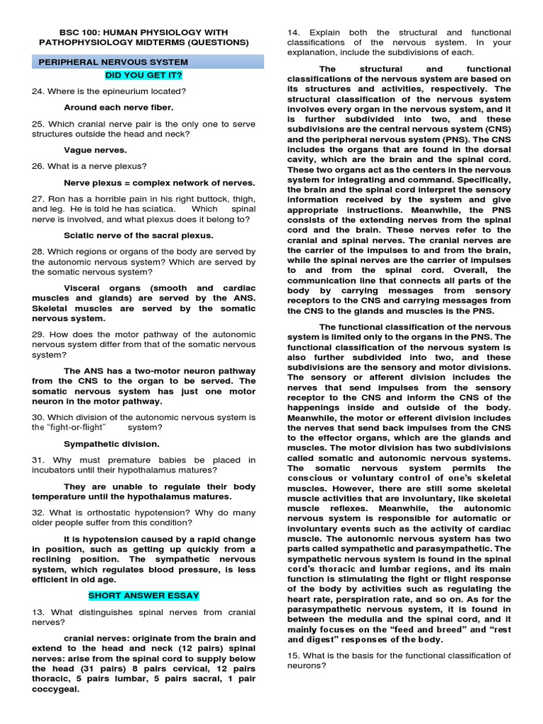 BSC 100 Midterm Questions For Oral Exam | PDF | Motor Neuron ...