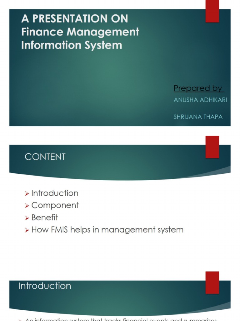 A Presentation On Fmis | PDF