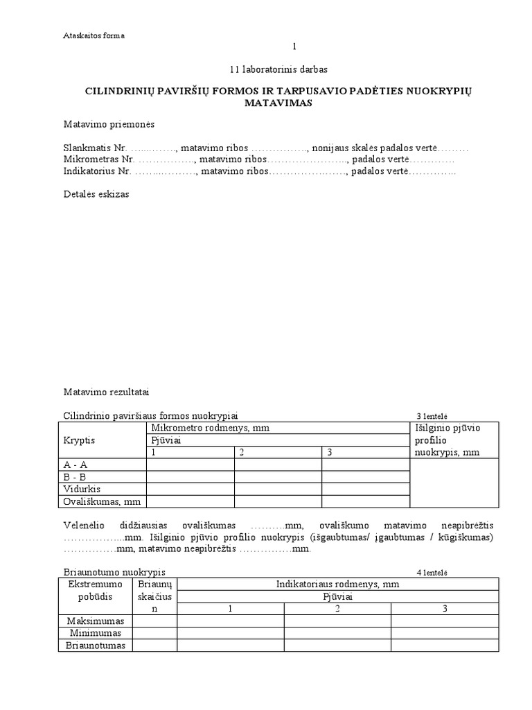 11lab - Ataskaitos Forma | PDF