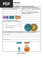 Mitosis Overview and Worksheet Guide | PDF | Mitosis | Cell Biology