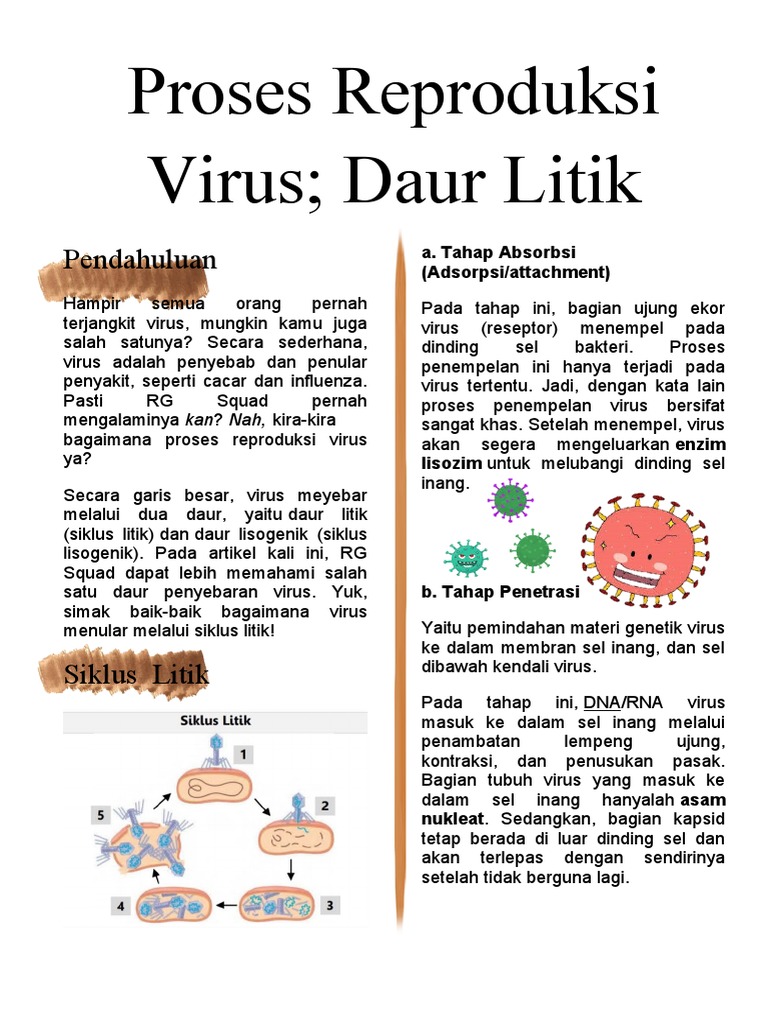 Proses Reproduksi Virus Litik | PDF