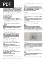 Grade 6 Respiratory System Overview | PDF | Respiratory Tract | Lung