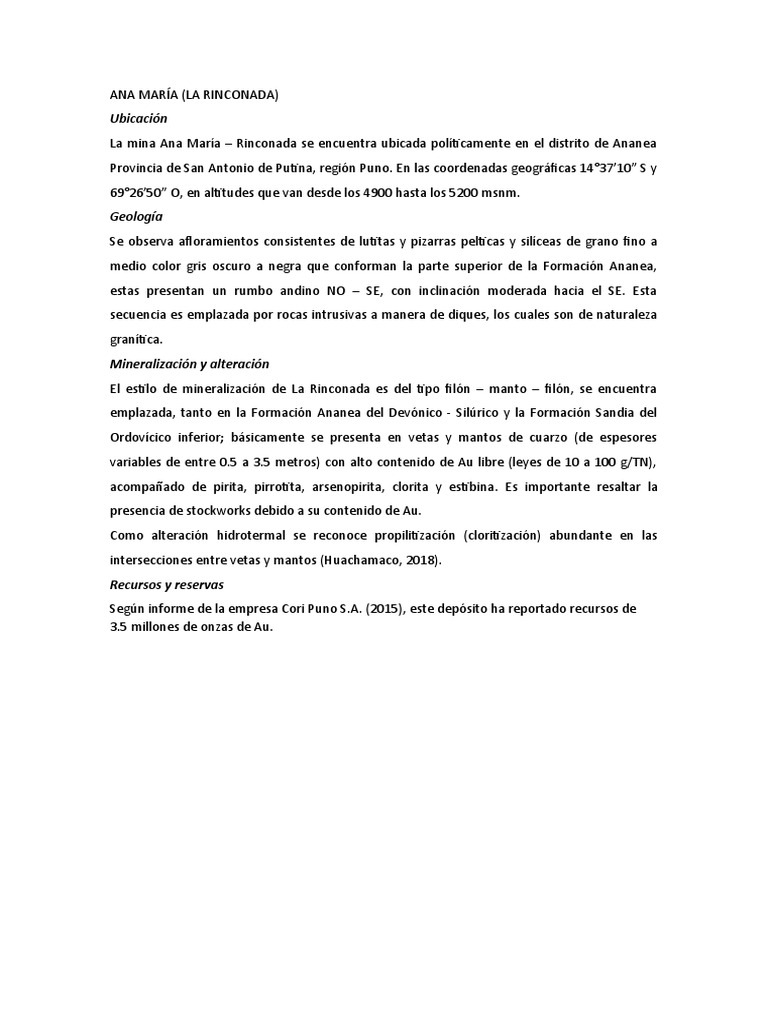 Ana Maria - La Rinconada - Sintesis - 2020 | PDF