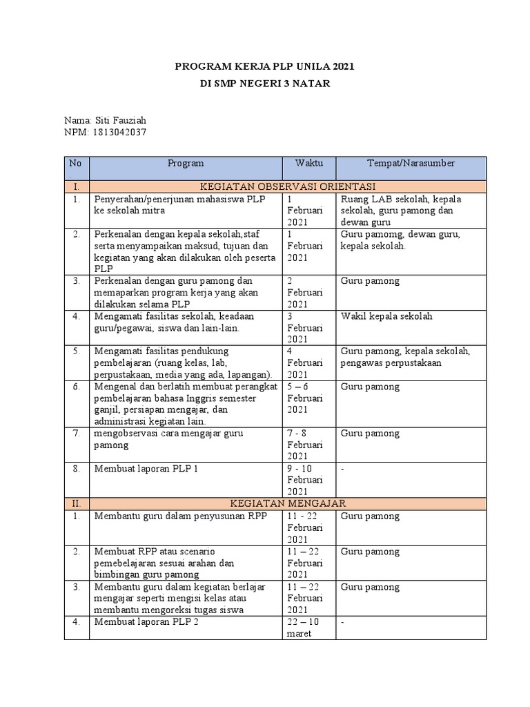 Program Kerja PLP-Siti Fauziah | PDF