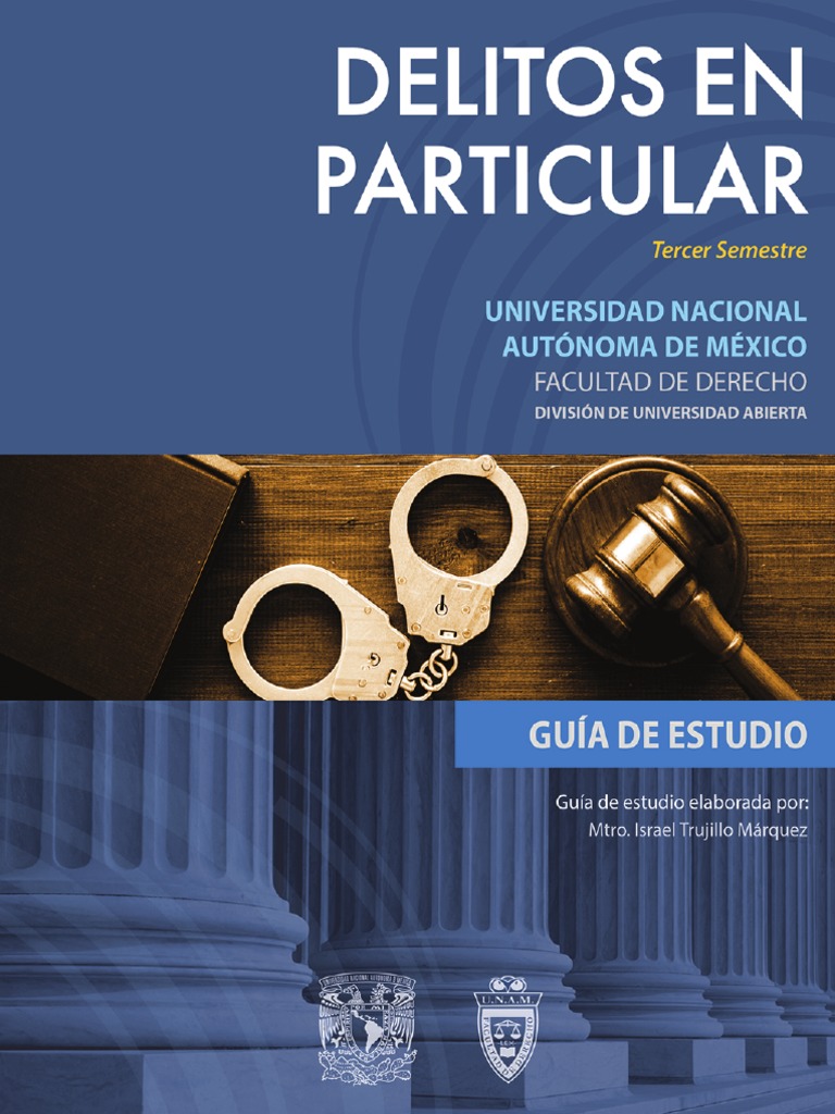 Guia Delitos Particular Pdf Derecho Penal Causalidad Ley
