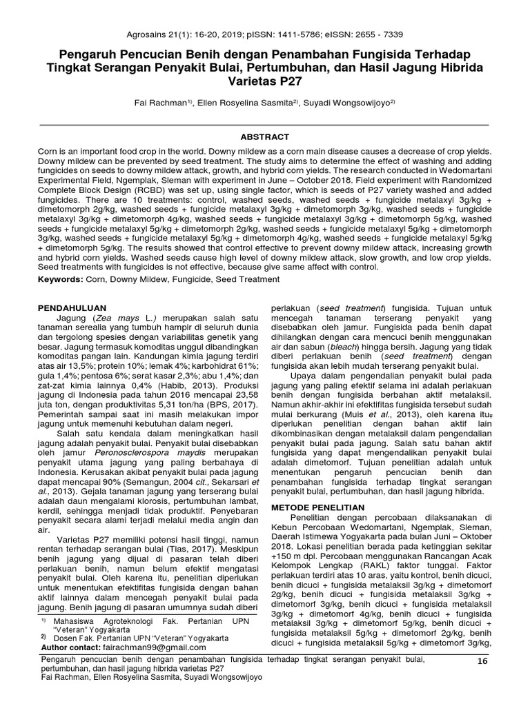 Pengaruh Pencucian Benih Dengan Penambahan Fungisida Terhadap Tingkat Serangan Penyakit Bulai ...