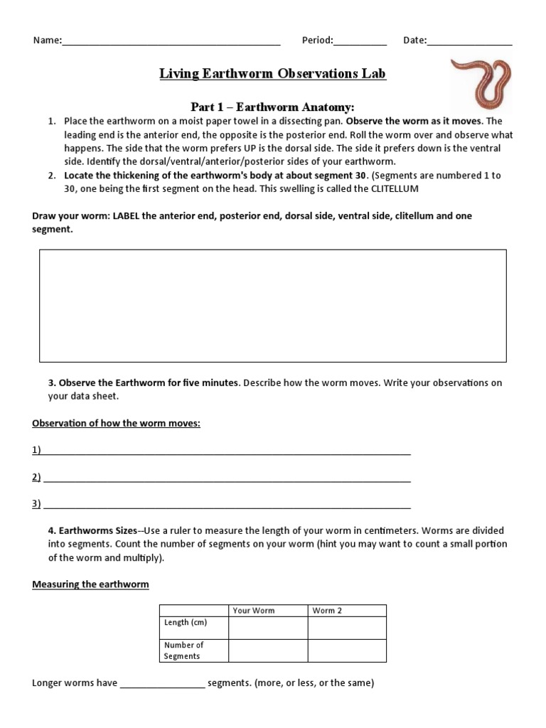 Chapter 9 Living Earthworm Observations Lab | PDF | Experiment ...