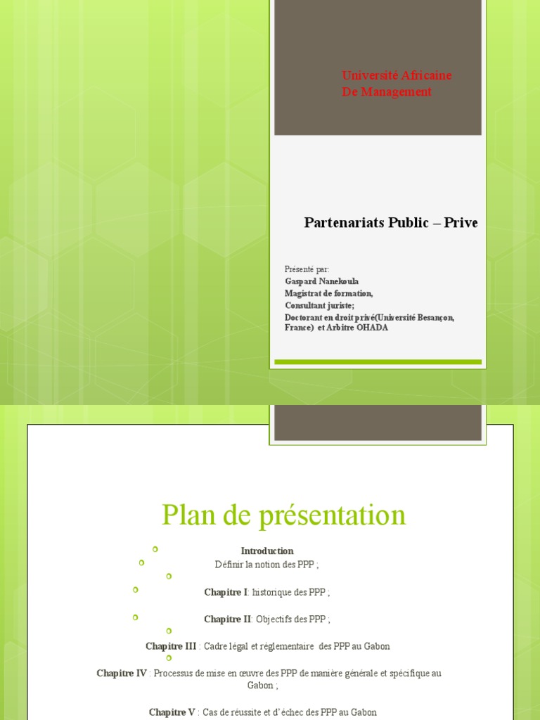 COURS DE PPP Année 2020 - 2021 | PDF | Partenariat public-privé ...