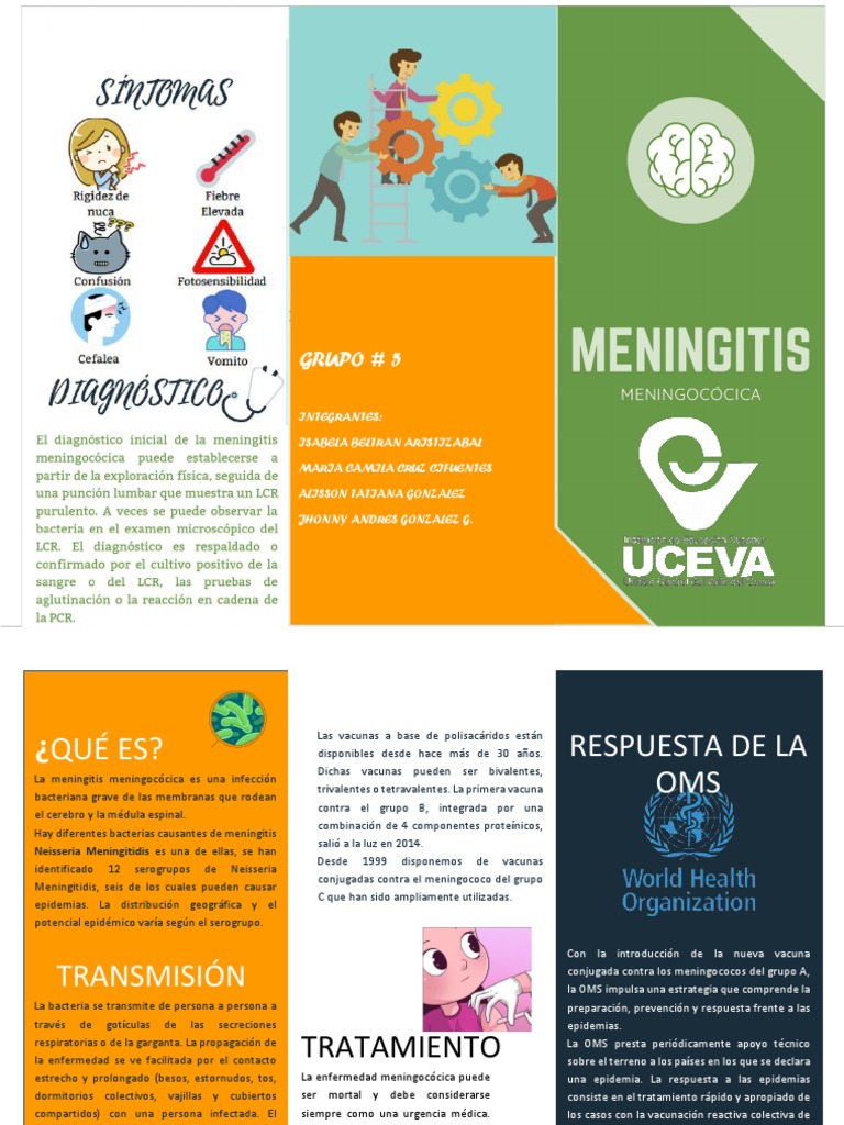 Folleto Meningitis | PDF | Meningitis | Salud pública