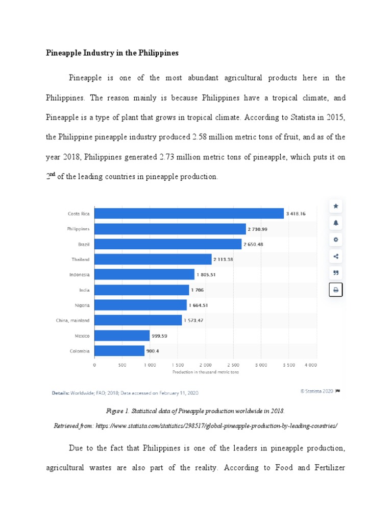 Pineapple Production in the Philippines | PDF