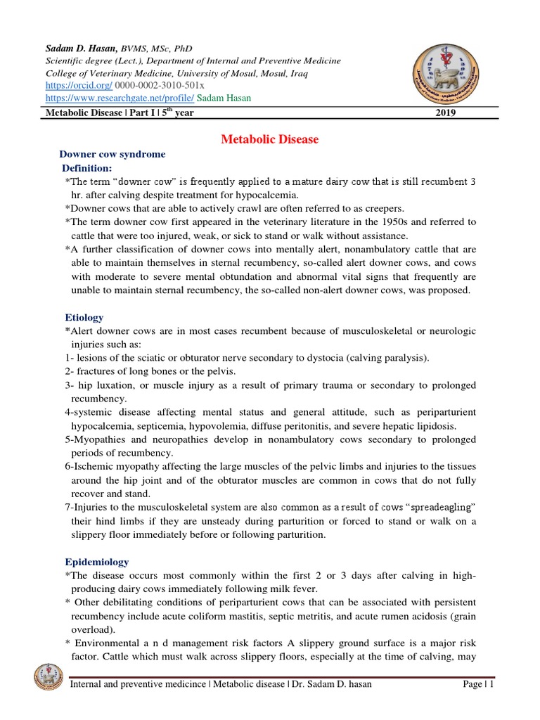 Metabolic Disease: Downer Cow Syndrome Definition | PDF | Cattle | Medicine