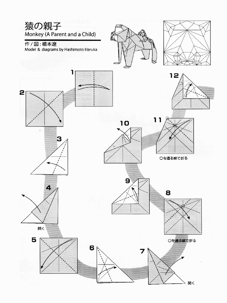 Diagram Monkey-Haruka Hashimoto | PDF