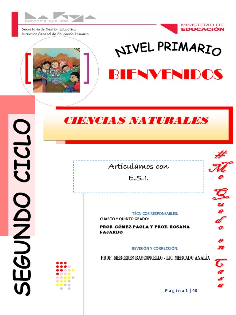 Segundo-Ciclo Naturales c5 | Descargar gratis PDF | Sonido | Vector ...