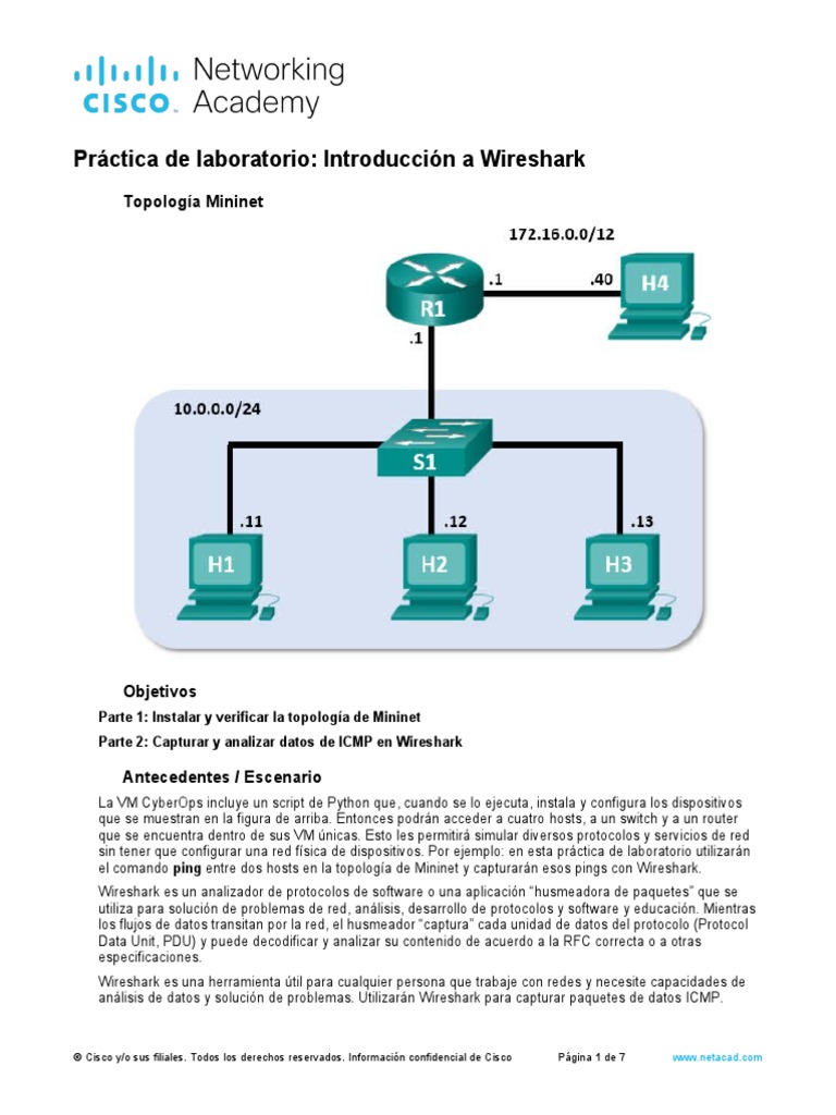 4.1.2.10 Lab - Introduction To Wireshark | PDF | Telecomunicaciones | Redes
