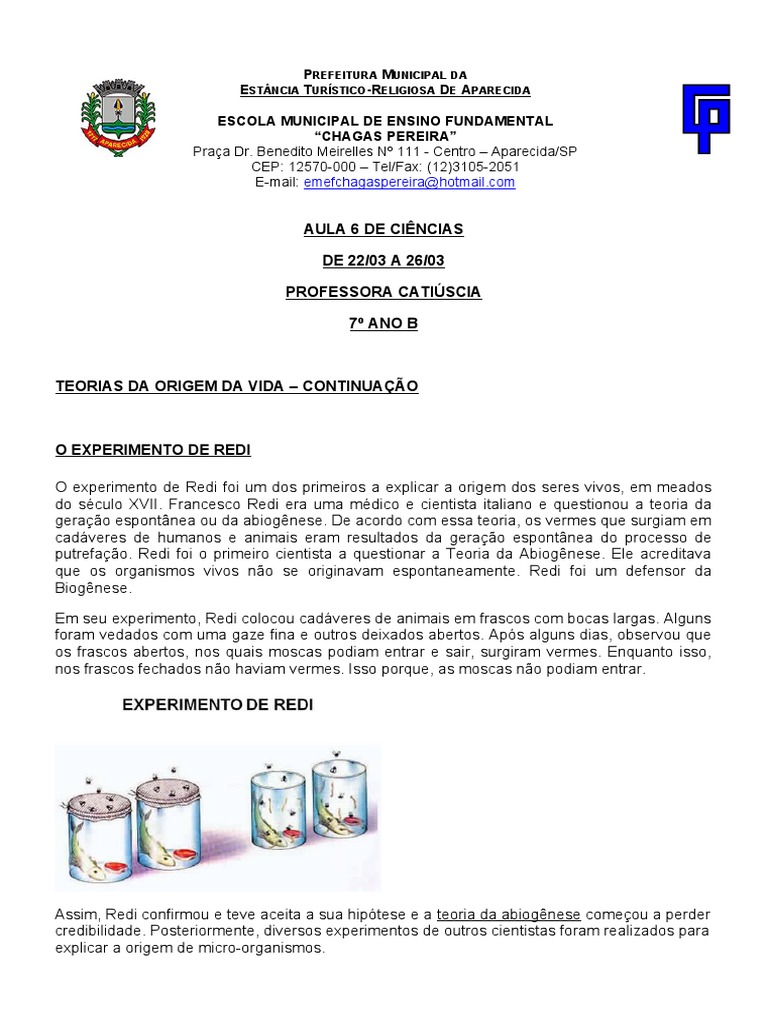 Teorias da origem da vida: os experimentos de Redi, Needham ... Teorias da origem da vida: os experimentos de Redi, Needham ...