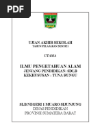Contoh Soal PKN SLB Untuk Anak Berkebutuhan Khusus | PDF