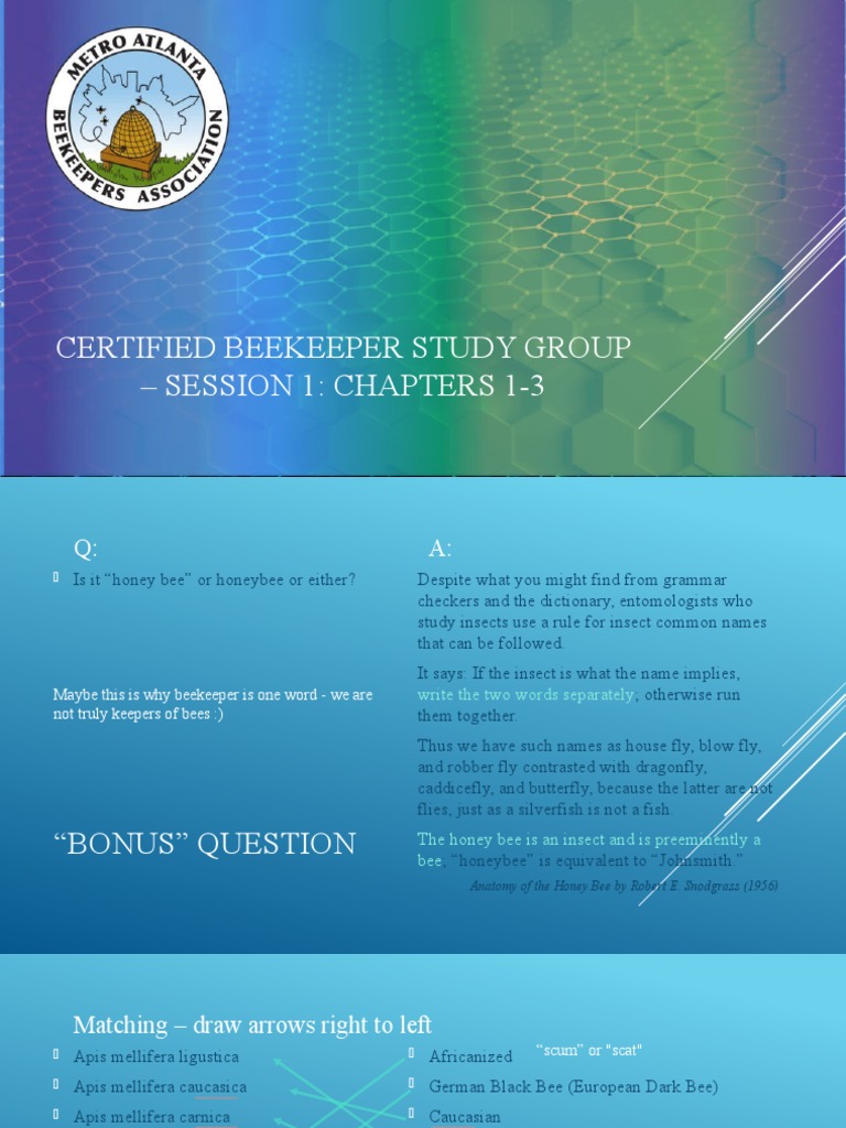 Certified Beekeeper Study Group - Session 1: Chapters 1-3 | PDF | Honey Bee | Western Honey Bee