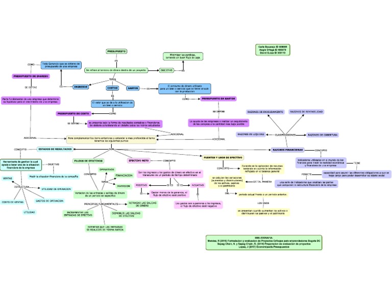 Mapa Conceptual Presupuestos de Ingresos, Costos y Gastos | PDF