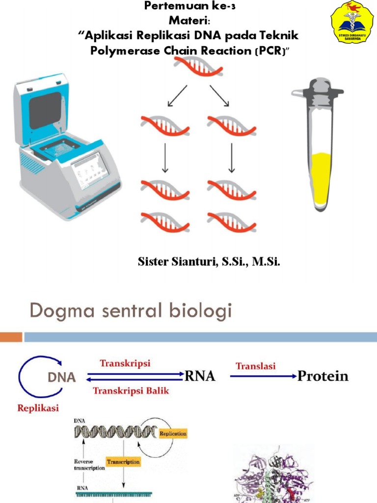 Replikasi DNA dan PCR pada Bakteri | PDF | Sains & Matematika