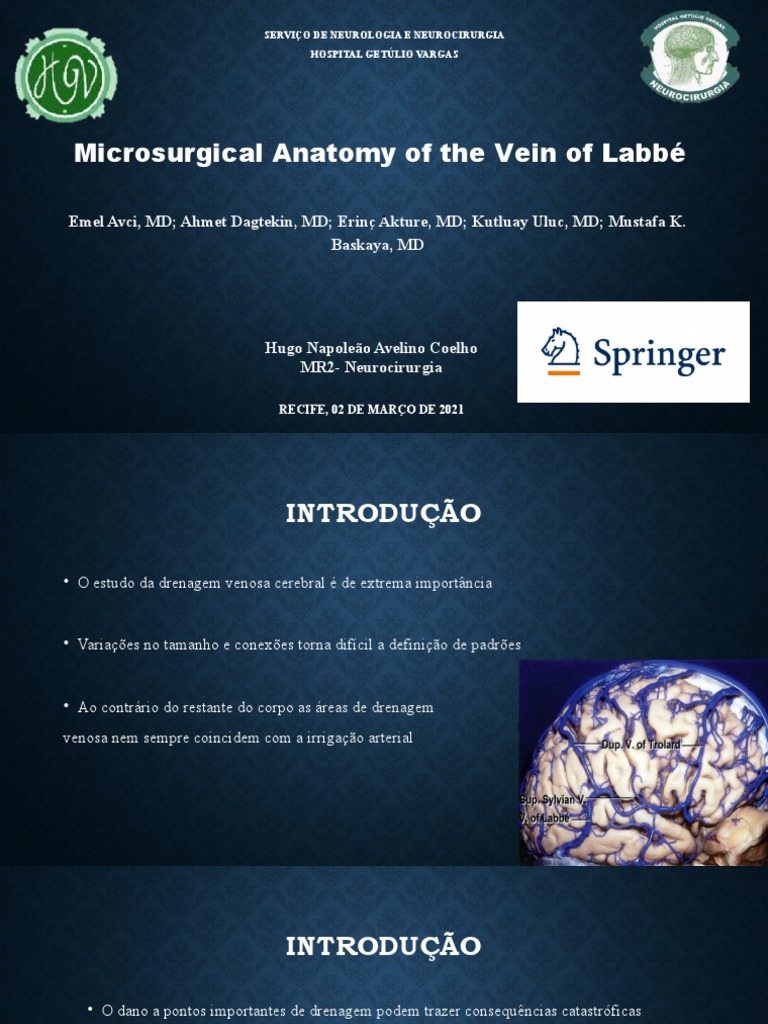 Anatomia Da Veia de Labbé | Download grátis PDF | Sistema nervoso ...