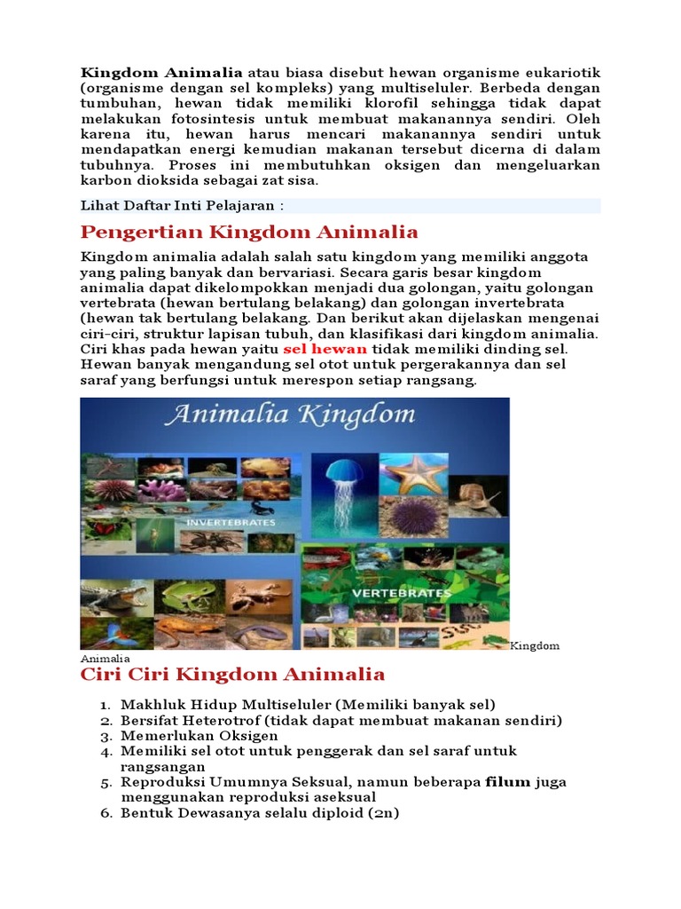 Ciri dan Klasifikasi Kingdom Animalia | PDF | Ilmu Sosial